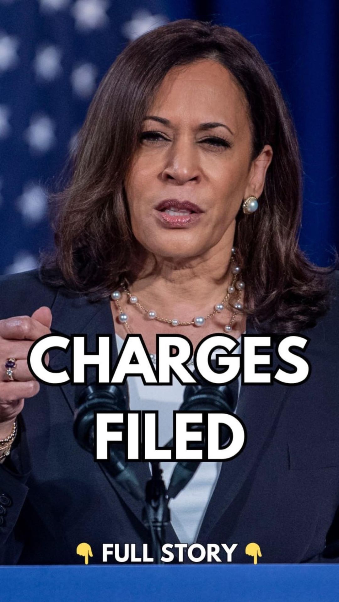 Fundraiser For Harris Campaign Says She Was ‘Misled’ By Top Officials ...