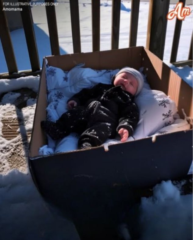 Boy Runs into Huge Box on Doorstep in the Winter Cold, Hears Loud Cry ...