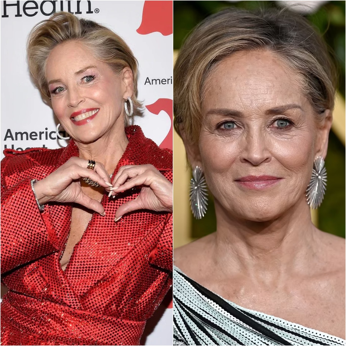 Sharon Stone Slams *A Simple Favor*, Accuses Blake Lively Film of ...